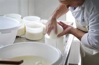 Cheese Making workshop in Alberobello | The Thinking Traveller